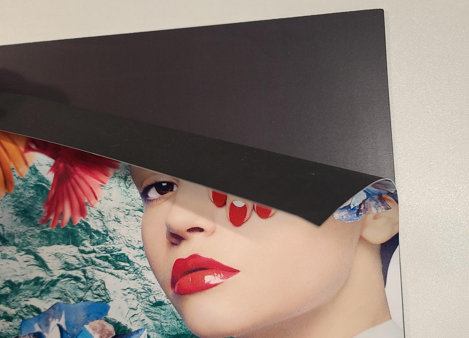 Magnetic Graphics | Moss