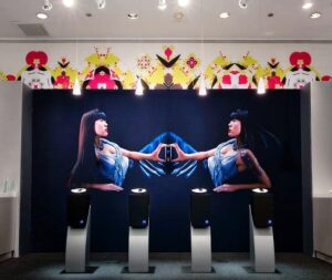 SEG Fabric and Frames: High-Quality Graphics & Frames